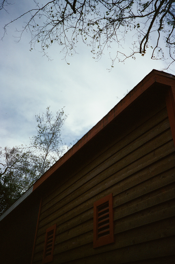 KONO! Kolorit 400 Tungsten + Zenit 412LS – Miu Vermillion Studio